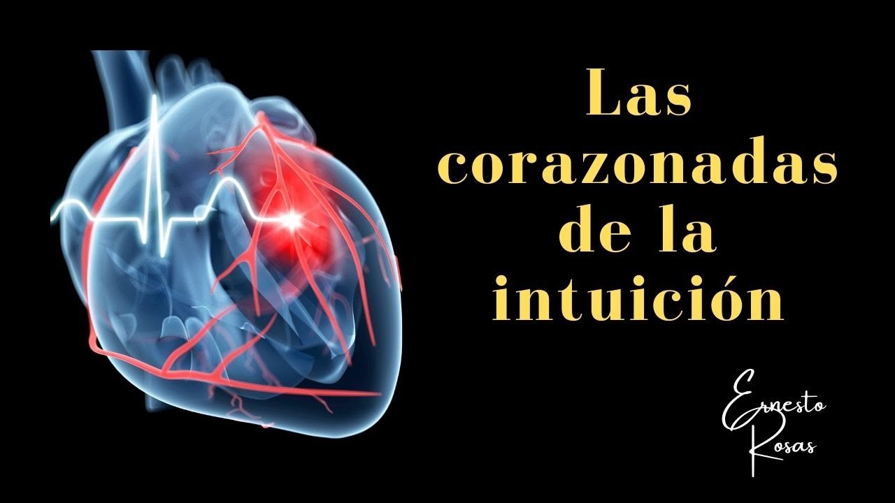 Las corazonadas de la intuición - YouTube
