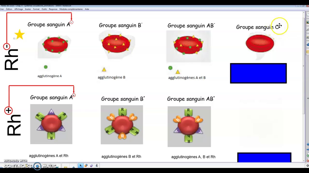 Groupes sanguins - les agglutinogènes - YouTube