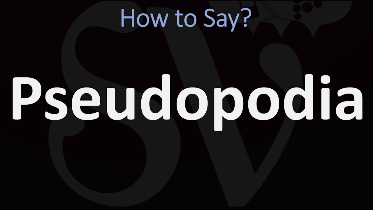 How to Pronounce Pseudopodia? (CORRECTLY) - YouTube