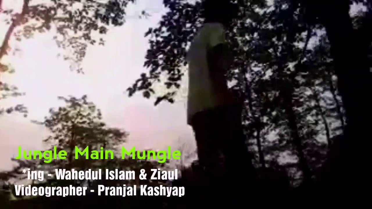 Jungle Main Mungle - (Assamese Funny Video) - YouTube
