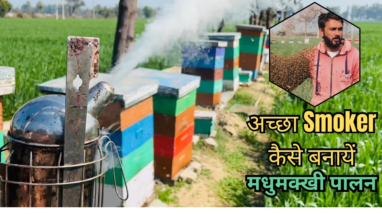 मधुमक्खी पालन में अच्छा Smoker कैसे तैयार करें। How to Light The Smoker / Indian Buzz Apiary ...