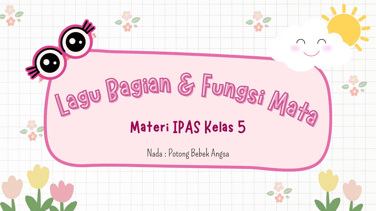 Lagu Bagian Mata beserta Fungsinya - IPAS Kelas 5 Semester 1 Kurikulum ...