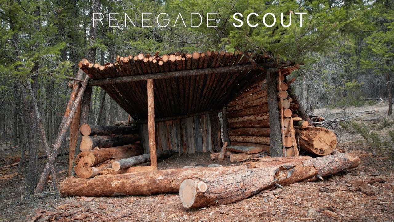 Building Wood Survival Shelter in the Forest 🌲🔥 | ASMR Bushcraft and ...