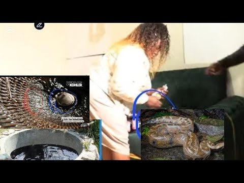 Now the truth is here after this child turns into abig python don't ...