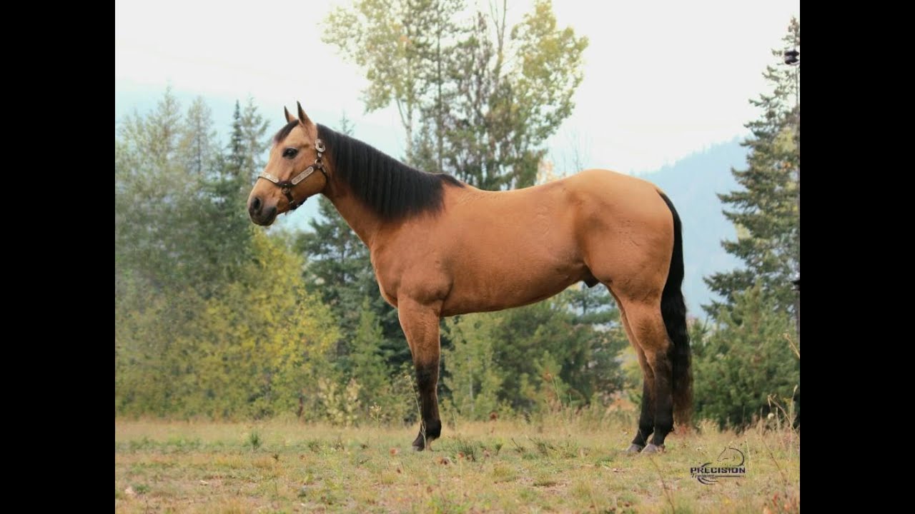 Rio Sale Video - YouTube