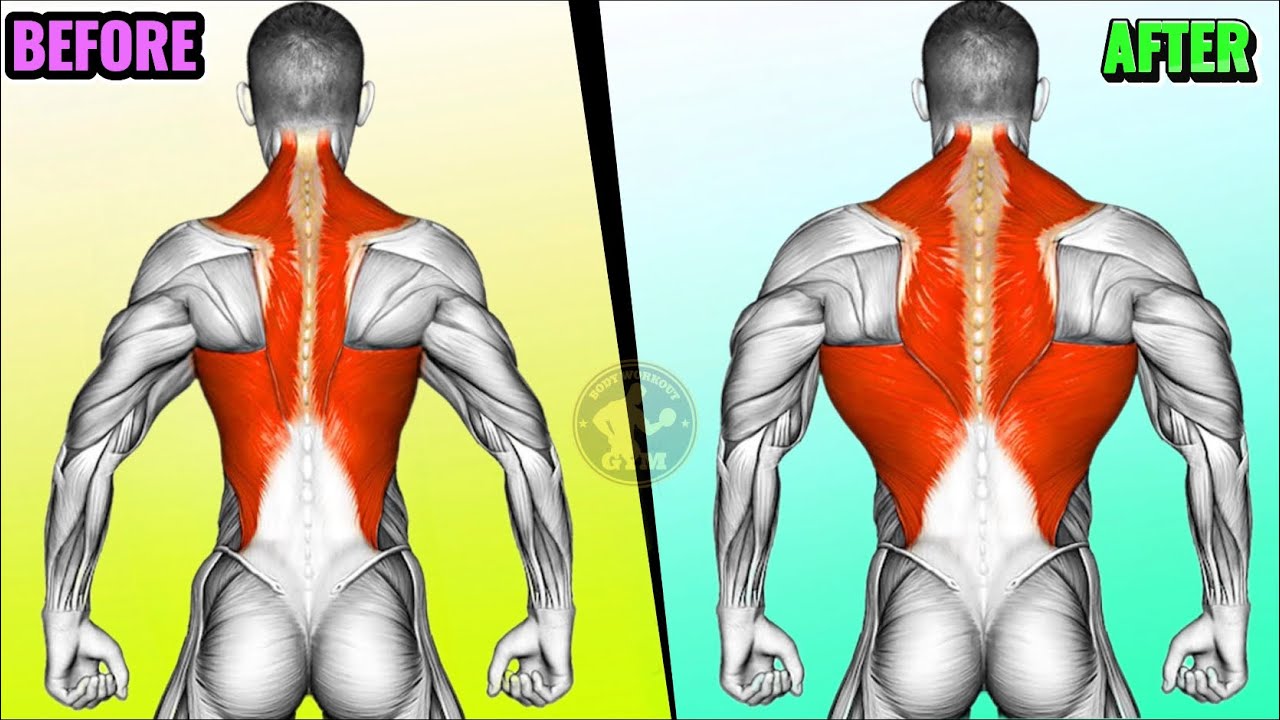 Top 6 Back Workout At Gym ( For All Levels ) - YouTube
