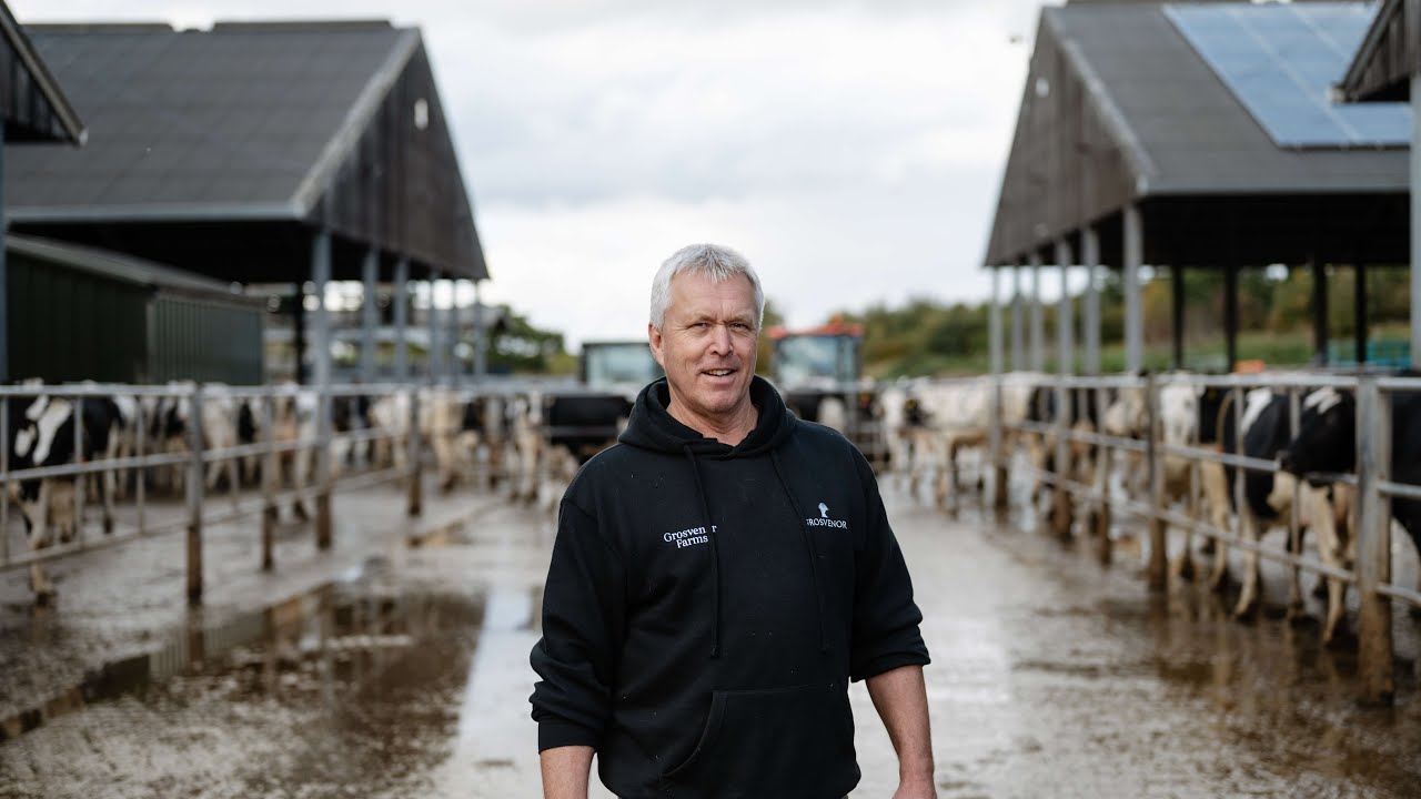 How Nedap Cow Collars Help Grosvenor Farms Improve Herd Health and ...
