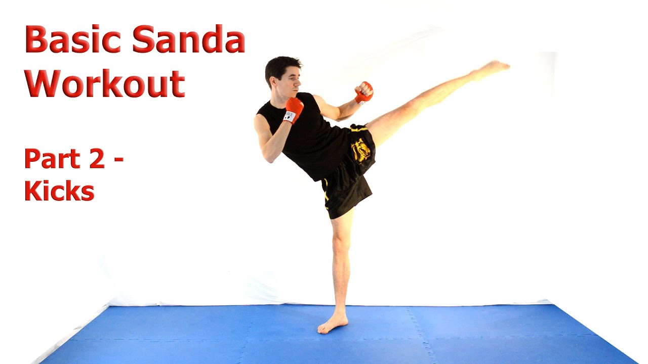 Basic Sanda workout Part 2 - Kicks - YouTube
