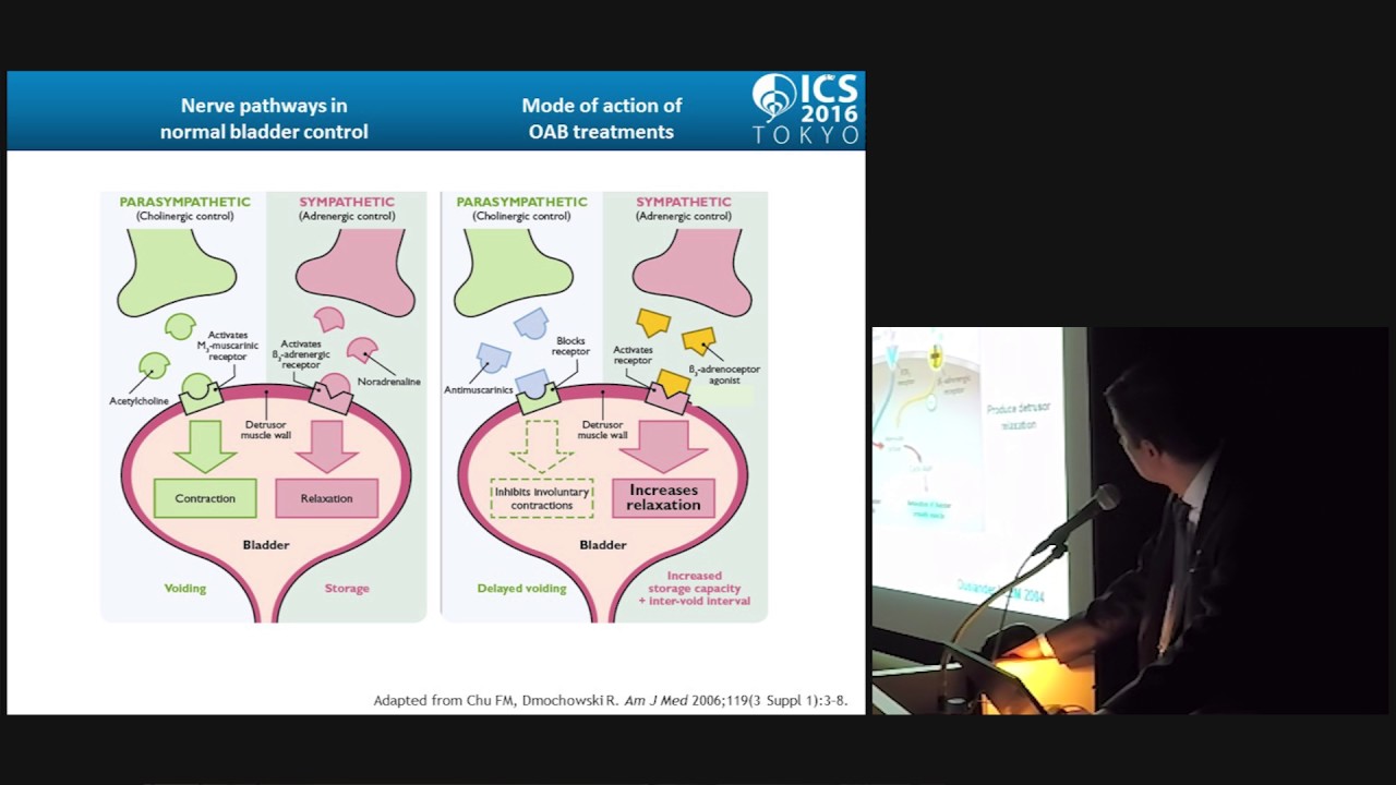 ICS 2016 Workshop 13 - ICS Core Curriculum (Free) Step by Step Basic ...