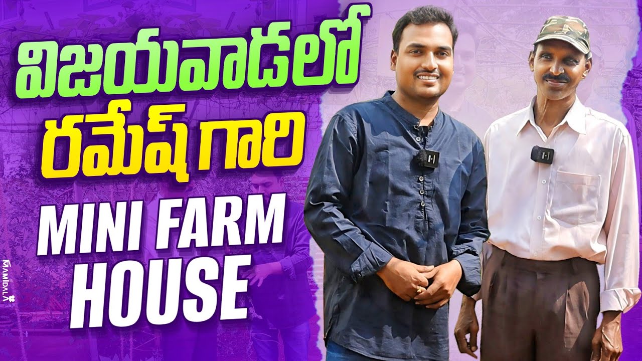 విజయవాడలో రమేష్ గారి Mini Farm #gardening #farming #farmhouse ...