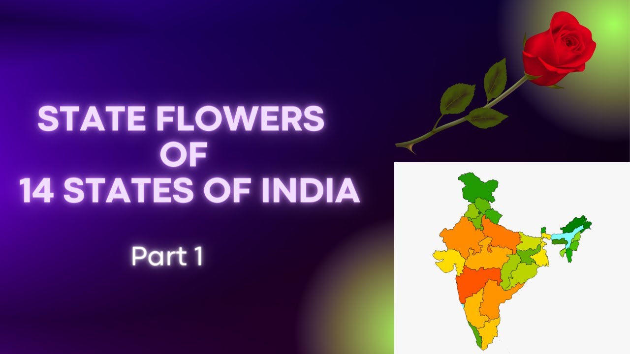 State flowers of 14 states of India || Flowers || States of India || # ...