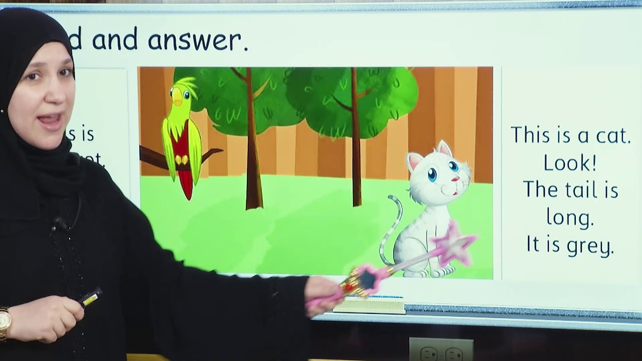 Grade 1 English Science Module 4 - YouTube
