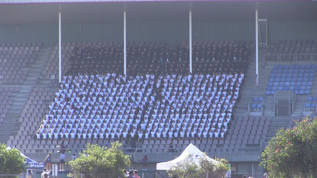 MTBS FLASHES 2019 Stellenberg High School - YouTube