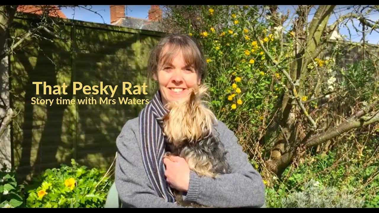 Storytime with Mrs Waters - YouTube