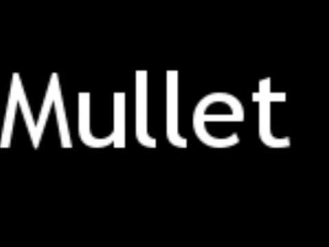 How to Pronounce Mullet - YouTube