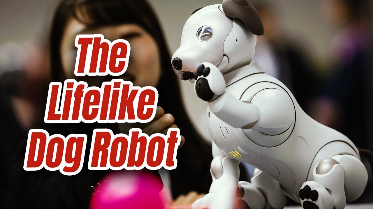 Sony's Aibo AI Dog Will Change How You See Robotics - YouTube