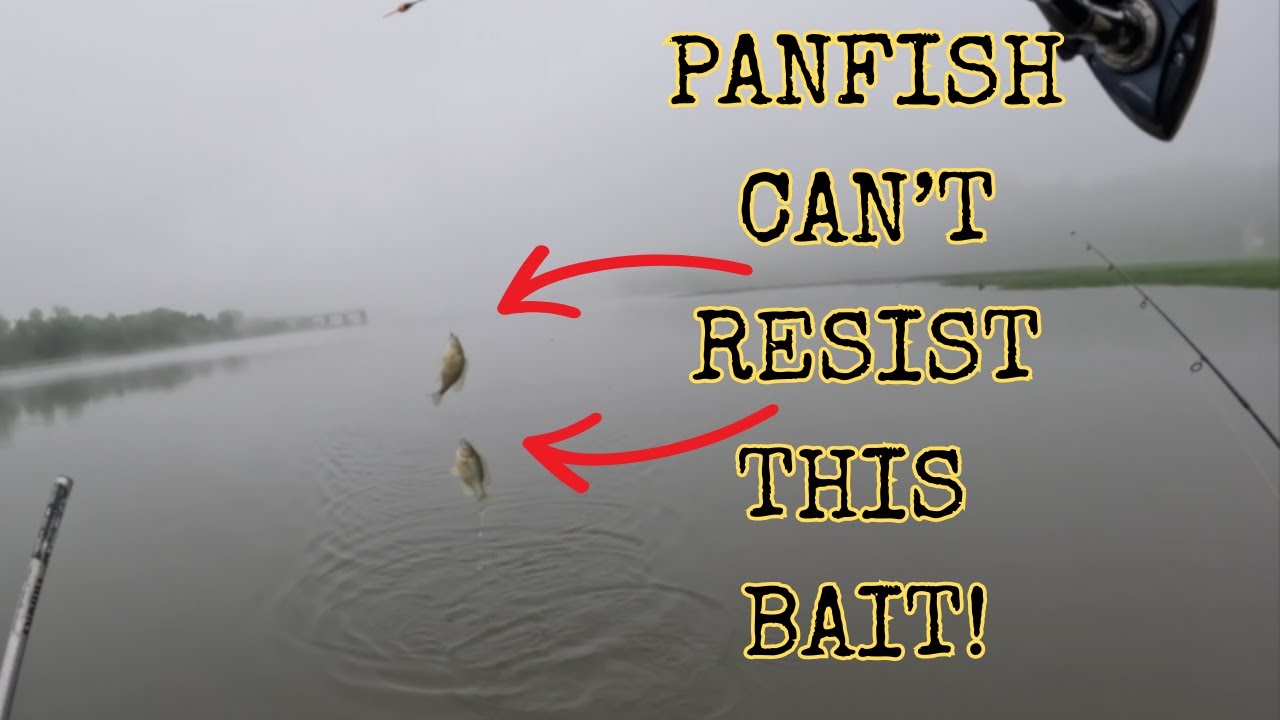 EASY Way To FIND And CATCH Panfish On BEDS! - YouTube