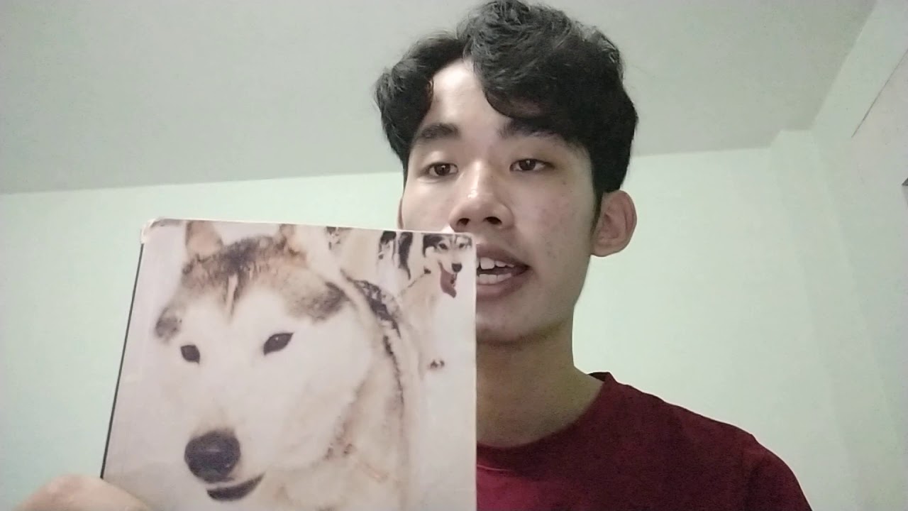 The Call Of The Wild Book Review YouTube the-call-of-the-wild-book-review-youtube