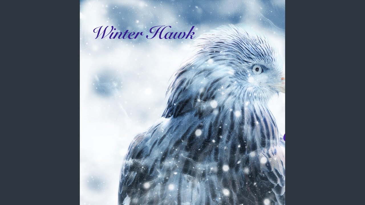 Winter Hawk (feat. Clare Steffen) - YouTube Music