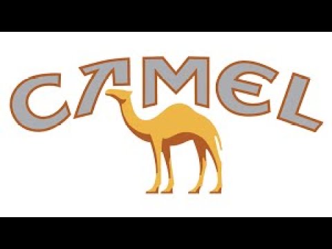 LAW | CAMEL COMPANIES | CA INTER & CS EXECUTIVE | COMPANY LAW - YouTube