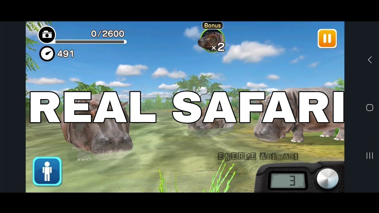 REAL SAFARI Melihat kumpulan binatang di alam #realsafari #animasi #tamansafari - YouTube