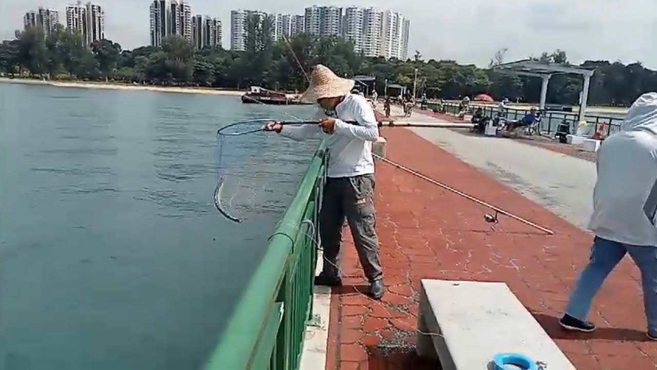 Bedok Jetty, first fish this month. Thank you auntie for recording ...