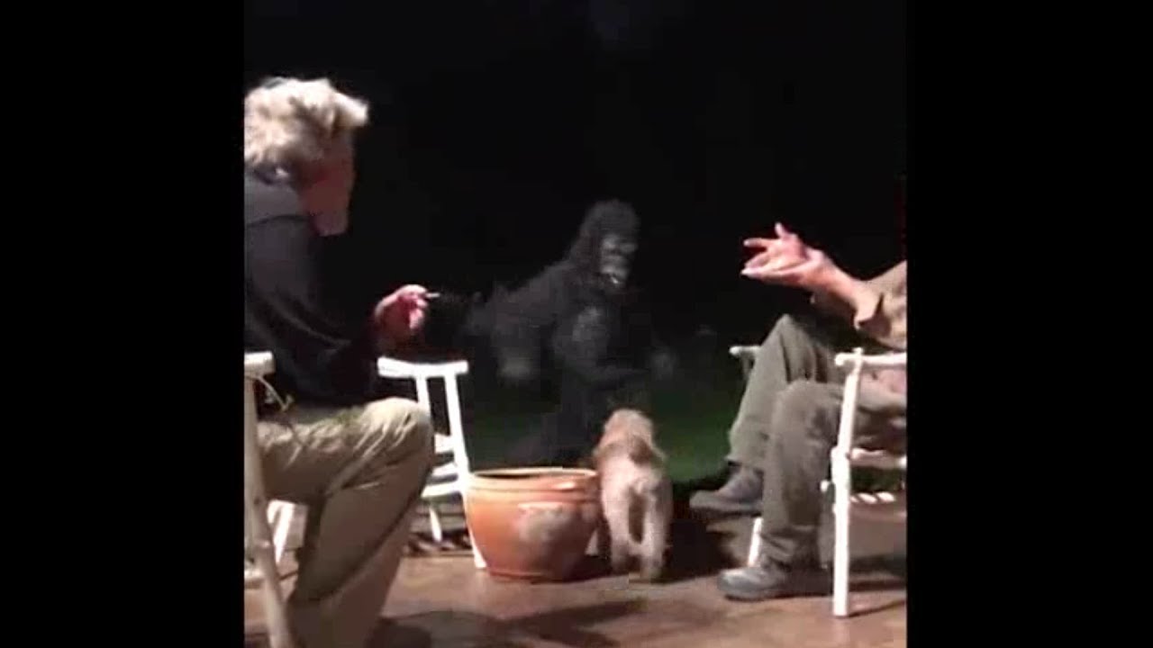 parents scaring their kids part 2..different way..must watch - YouTube