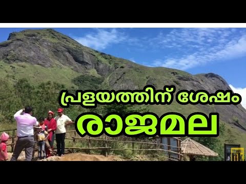 പ്രളയത്തിന് ശേഷം രാജമല | Rajamala Eravikulam National Park | Top ...