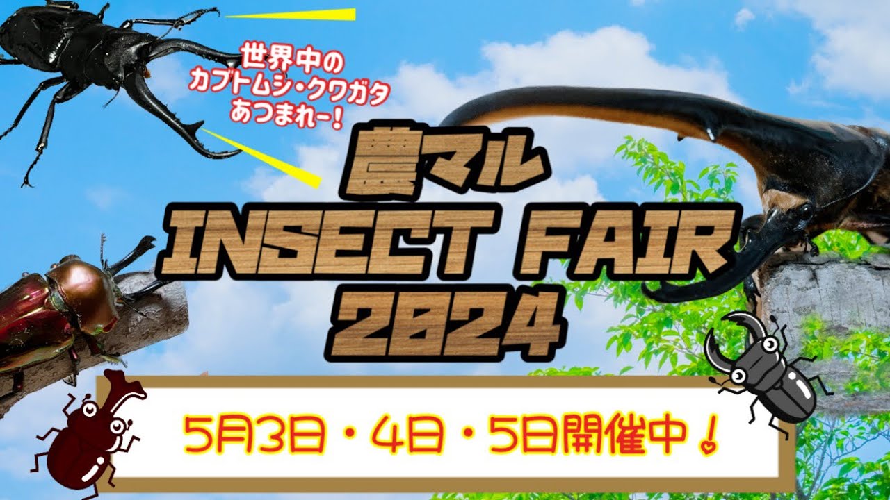 【INSECT SHOP 美咲】毎年恒例のGWイベントが楽しすぎる！ - YouTube