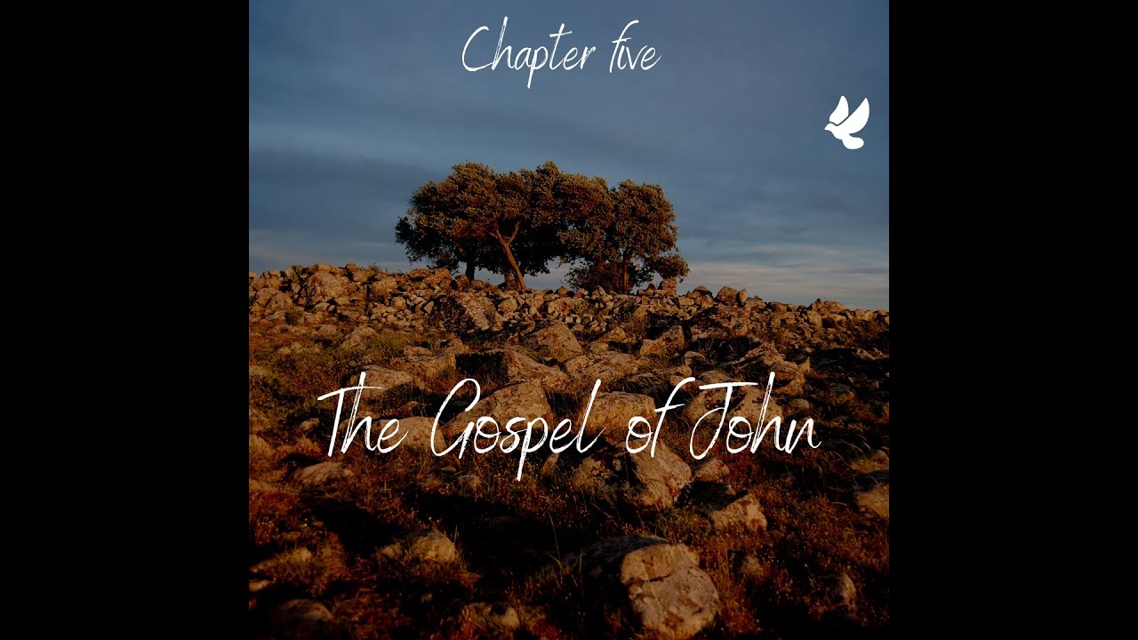 Gospel of John Chapter 5 - YouTube