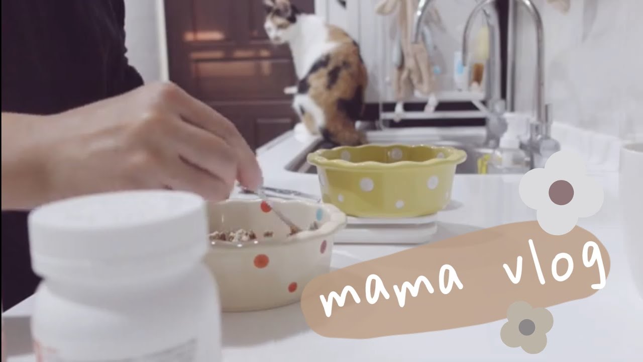 mama daily vlog#82 最近生活紀錄/家有小學生的一天 - YouTube