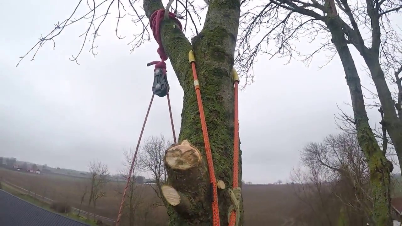 rigging dead ash over a nice roof. - YouTube