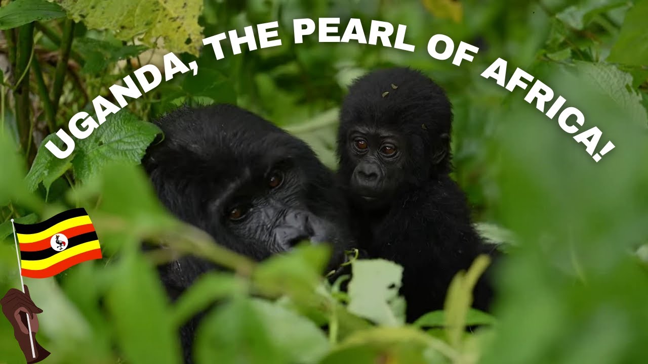 Why is Uganda called "The Pearl of Africa"? - YouTube