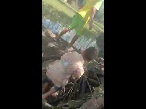 Metik buah timun di ladang mama