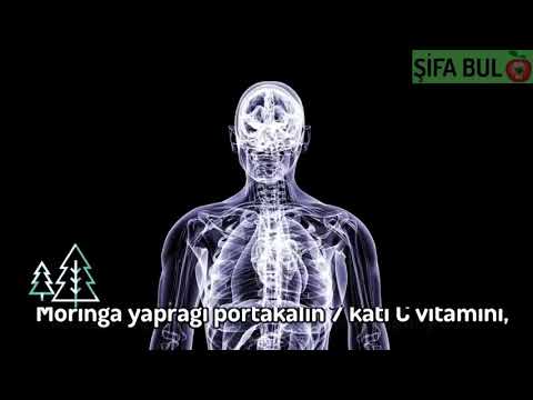 Ersağ moringa çayının faydaları