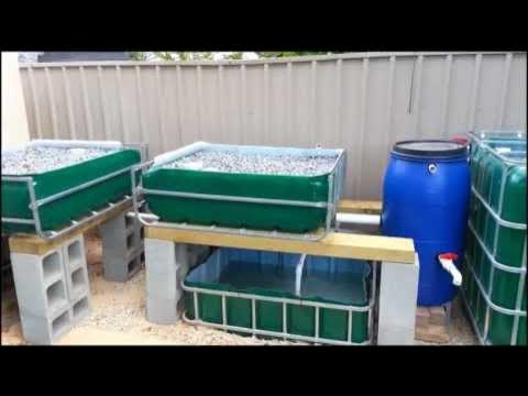 My Aquaponics introduction video. - YouTube