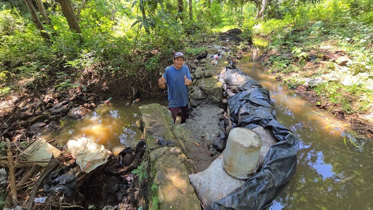Miren el trabajo que esta asiendo el canecho 🤗🤗🤗 - YouTube