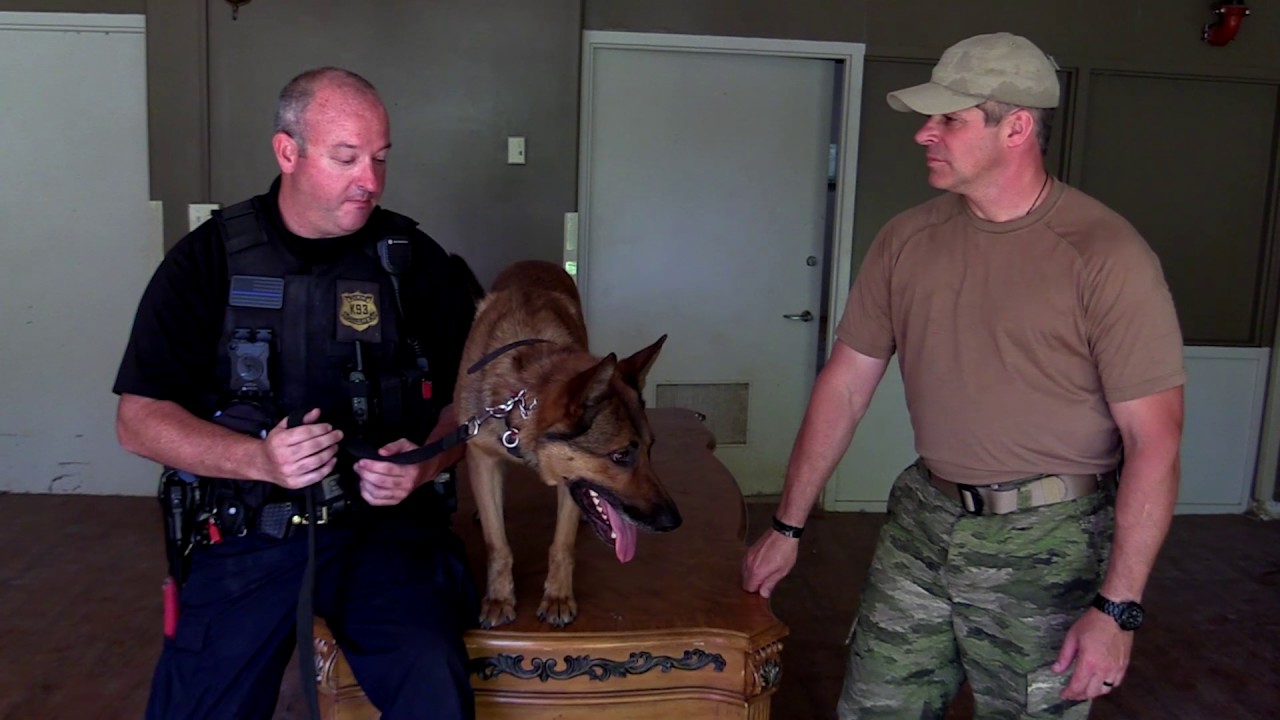 Meet Master Patrolman Derek Loftis - Greenville, SC Police Department ...