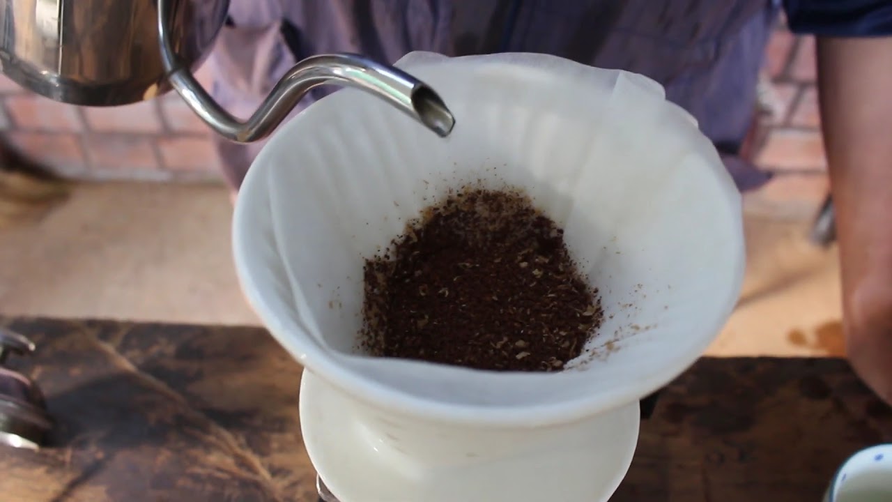 Son Pacamara Specialty Coffee - from Farm to Cup - YouTube