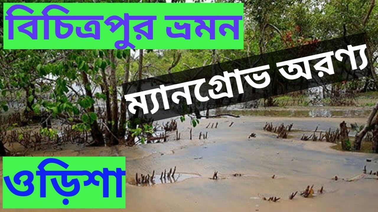 Bichitra pur Tour | বিচিত্রপুর ভ্রমণ | - YouTube