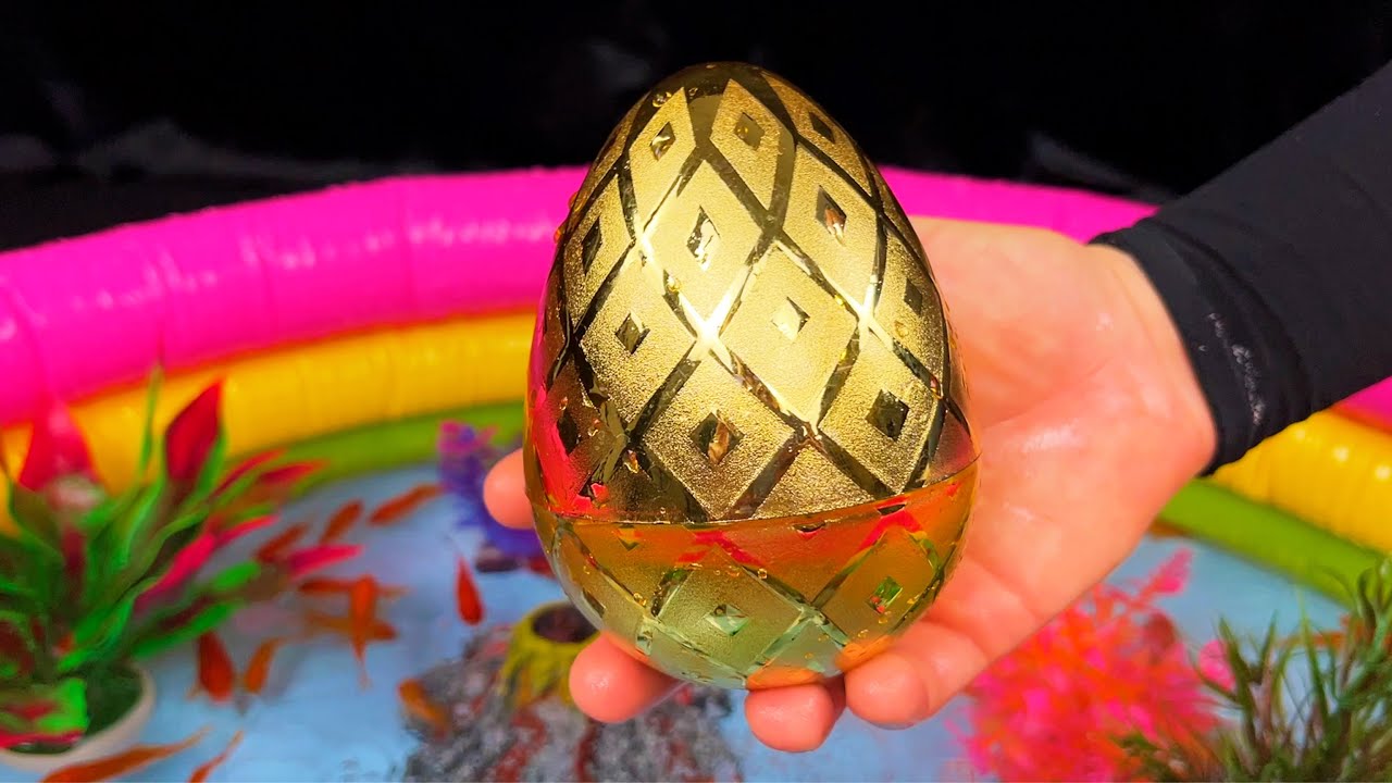 Amazing catch Colorful surprise eggs, crayfish, koi, angelfish, betta ...