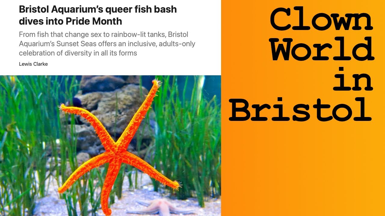 Non Binary Fish at the Bristol Aquarium - YouTube