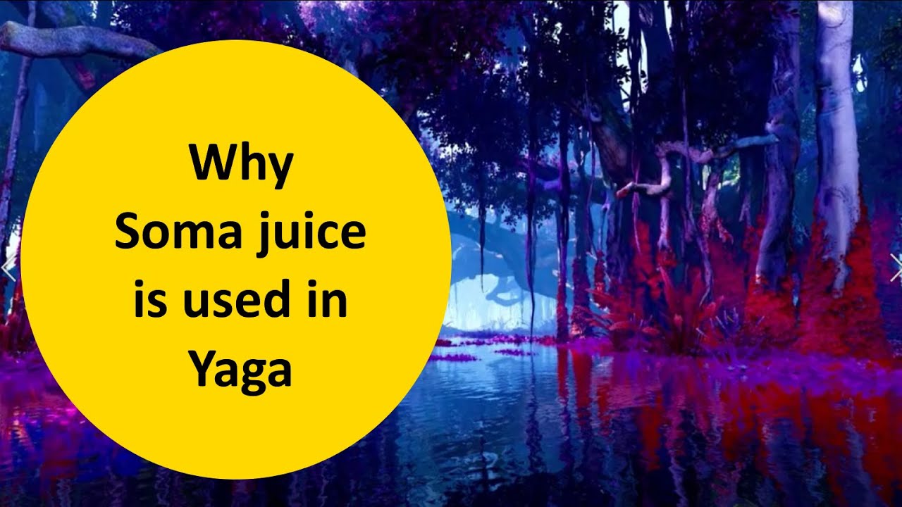 Why Soma Juice Is Used In Yaga | Vedadhara - YouTube