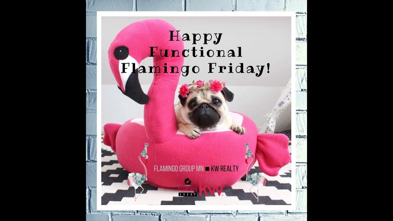 Happy Functional Flamingo Friday! - YouTube