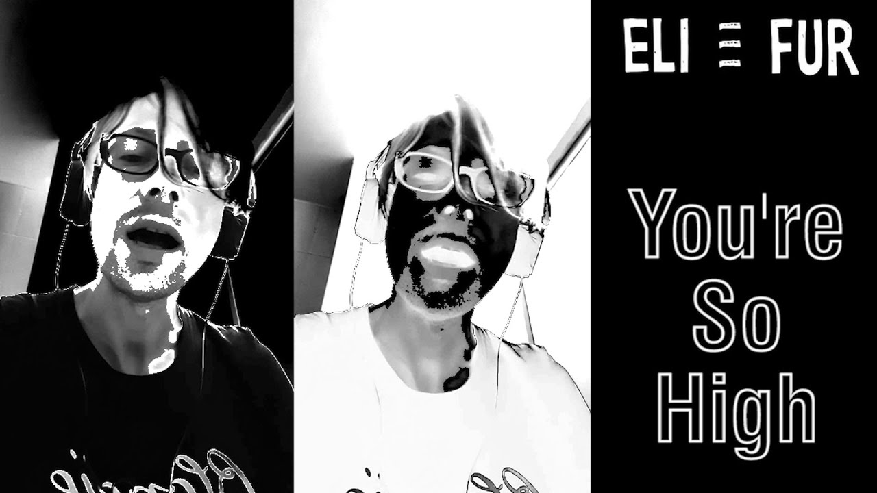 Eli & Fur - You're So High - YouTube