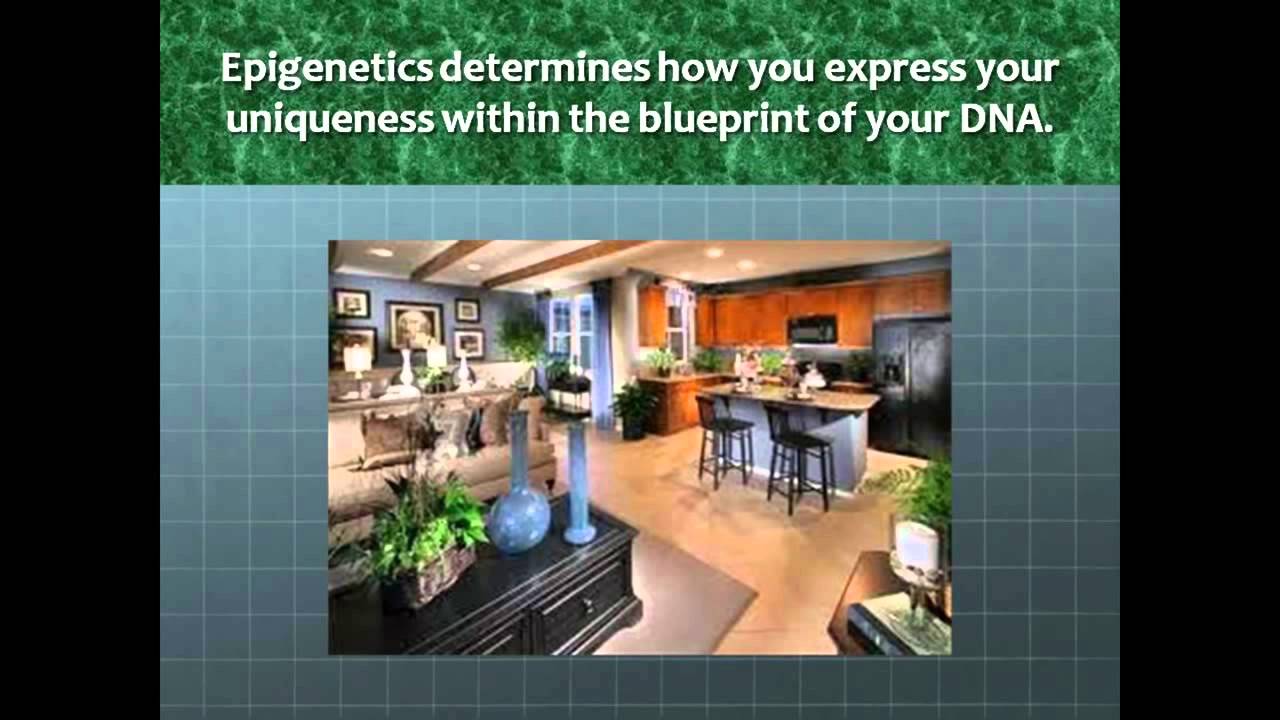 The Science Behind BioResonance Scanning - YouTube