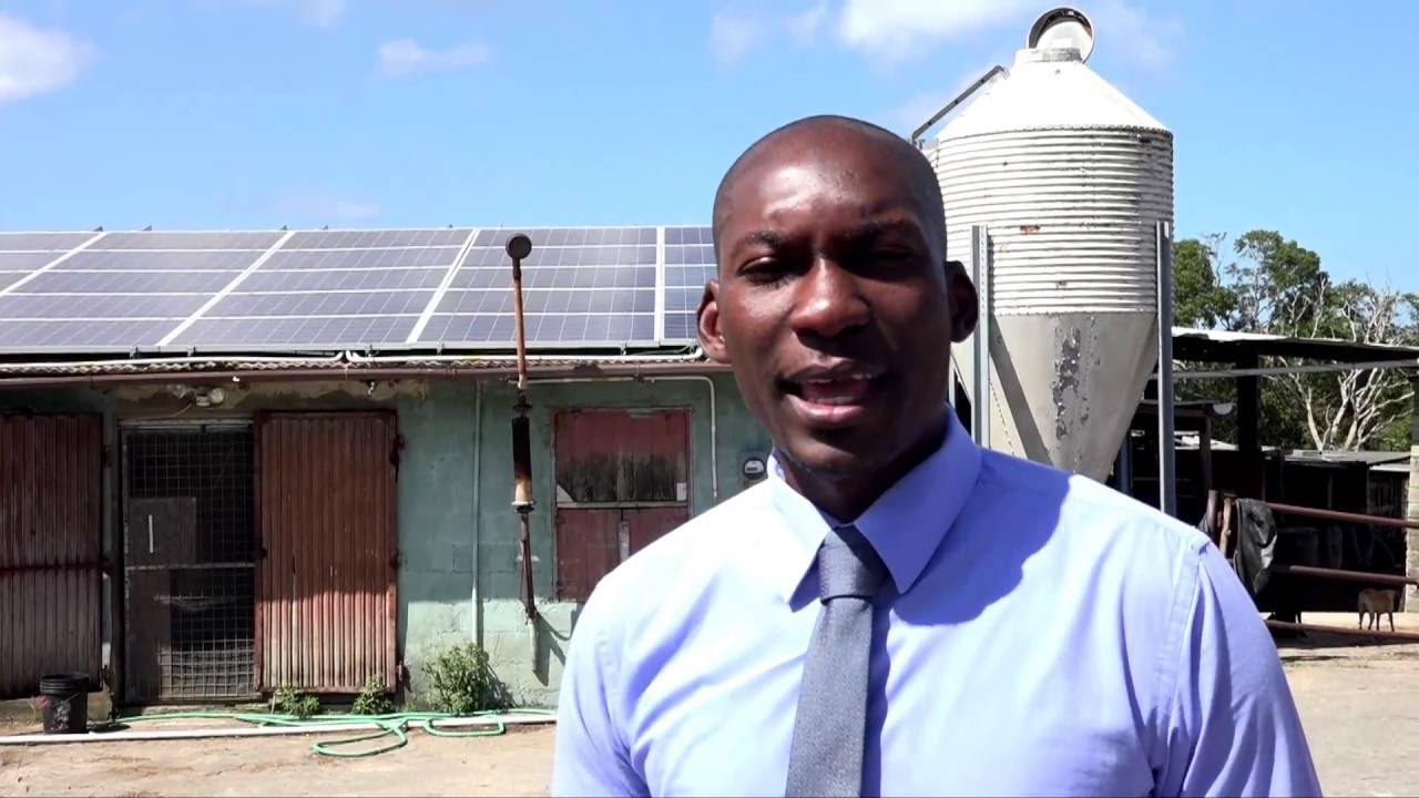 David Bynoe, GEF SGP UNDP, addressing the benefits of the project - YouTube