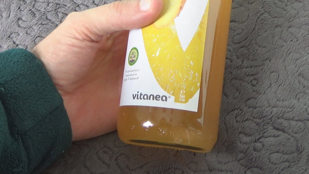 Vitanea Lemon and Ginger Concentrated Fruit Syrup with Sugar 1 kg ...