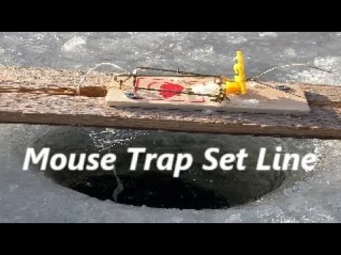 Mouse Trap Set line - YouTube