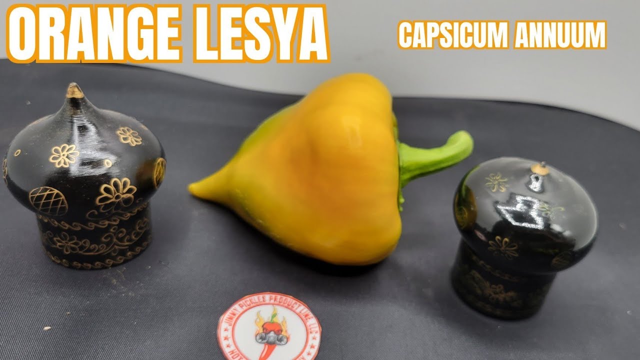 Orange Lesya Pepper - YouTube